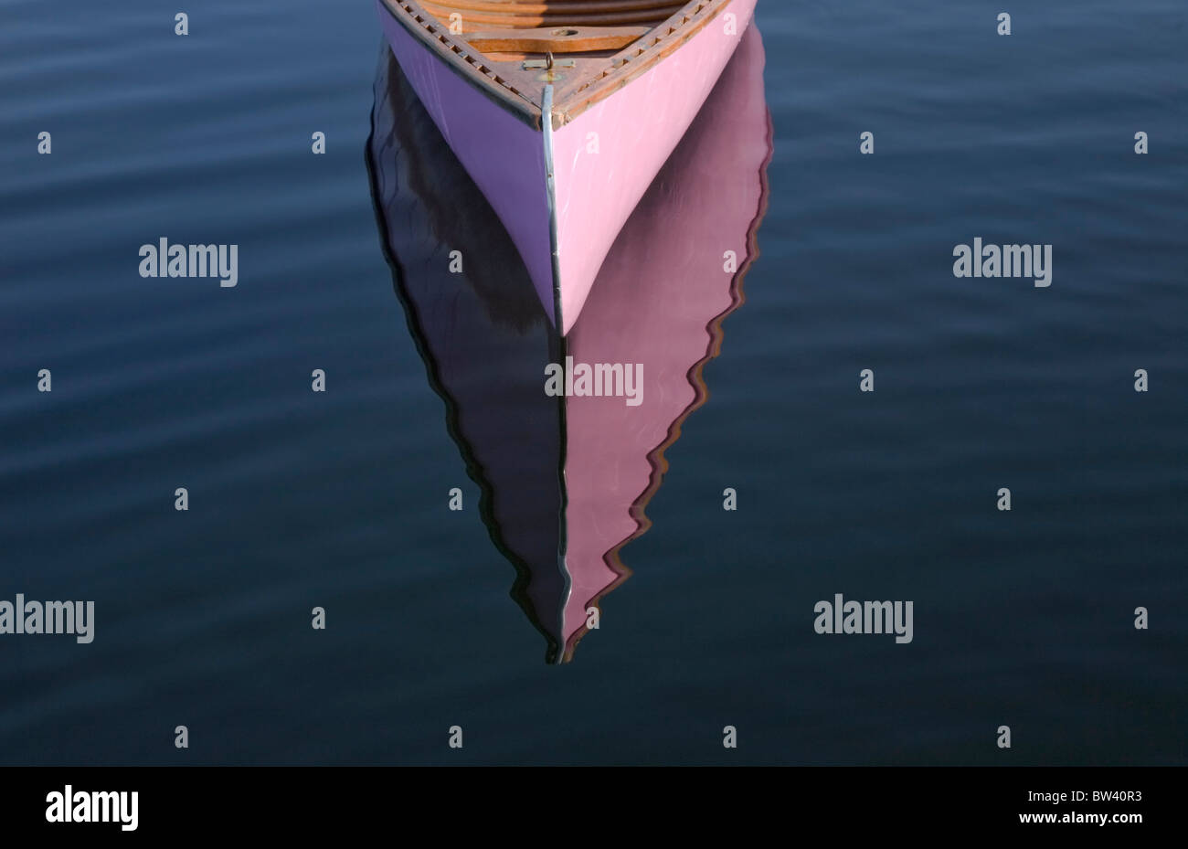 Bow of pink canoe floating in lake, Algonquin Park, Ontario, Canada ...