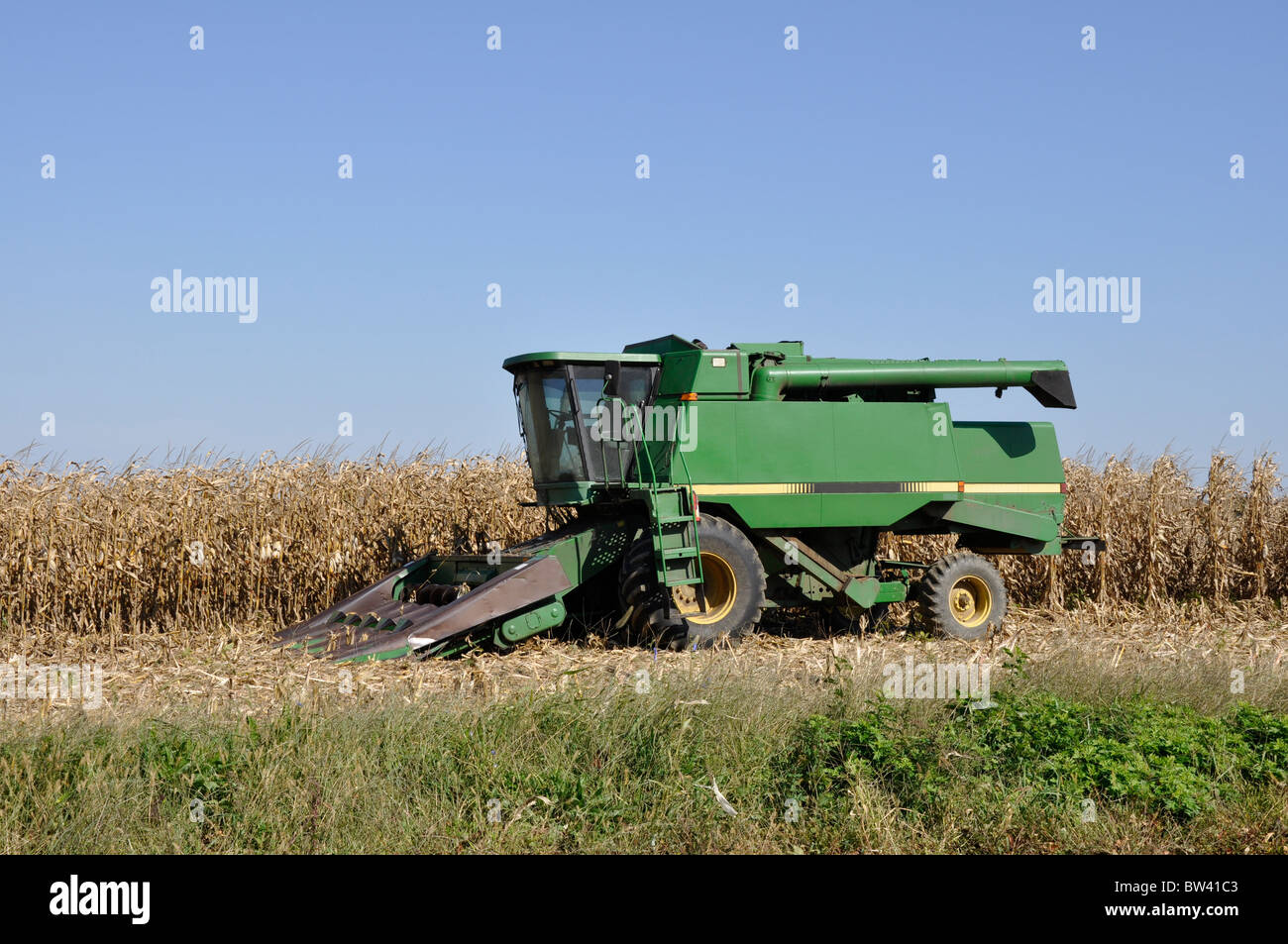 green farm tractor Stock Photo - Alamy