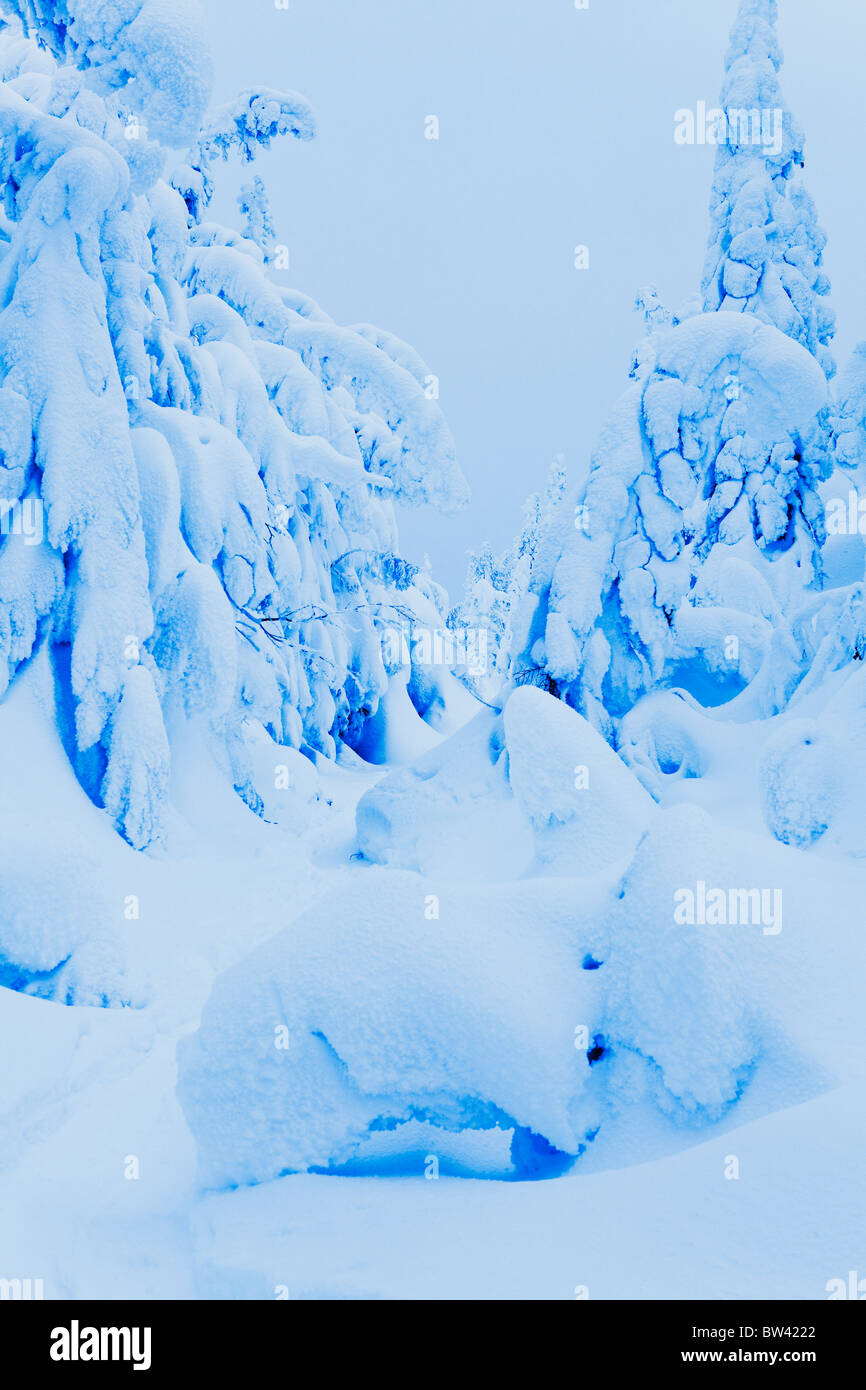 Monts valin national park hi-res stock photography and images - Alamy