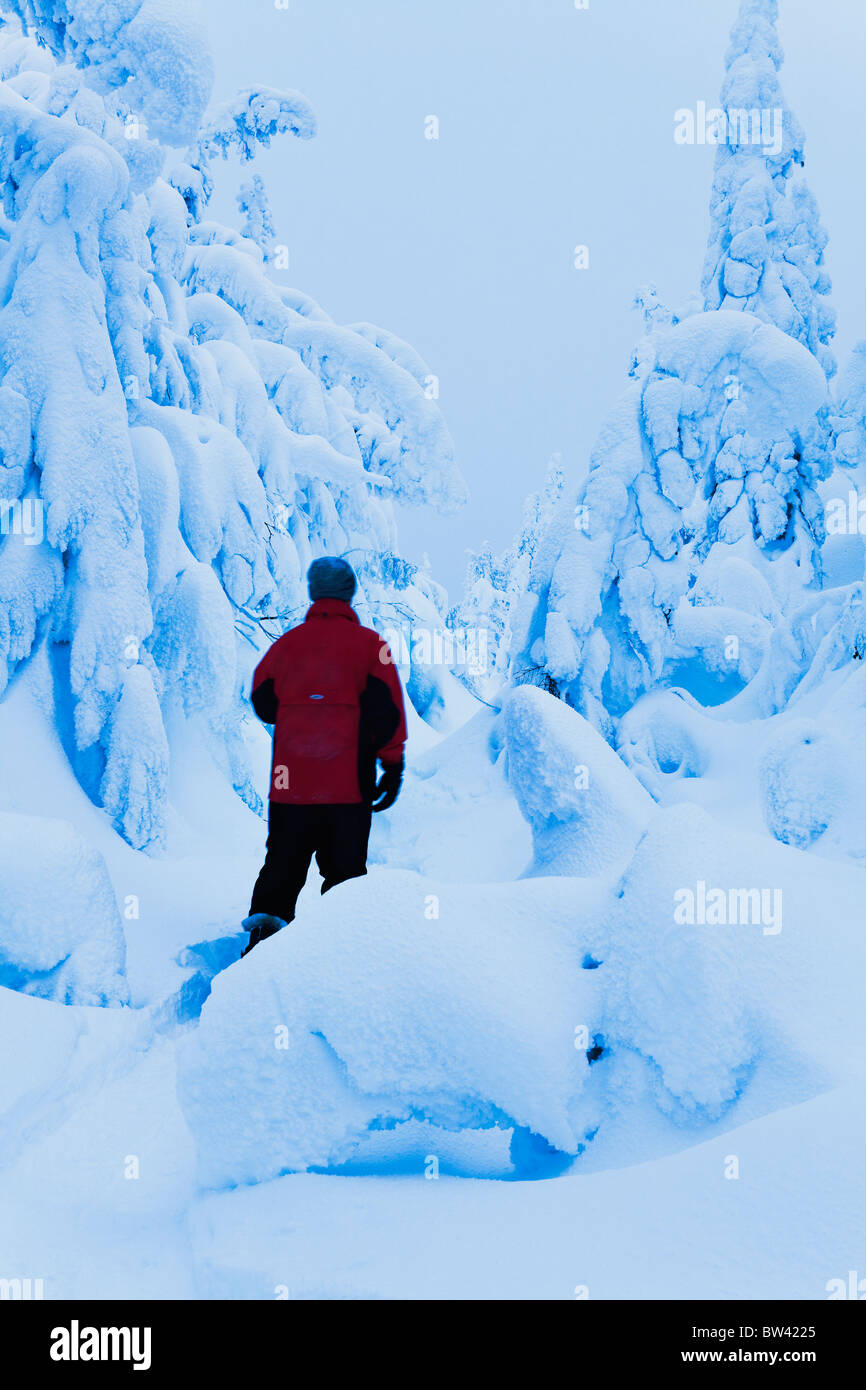 Snowshoer at Vallee des Fantomes, Monts-Valin National Park, Quebec ...