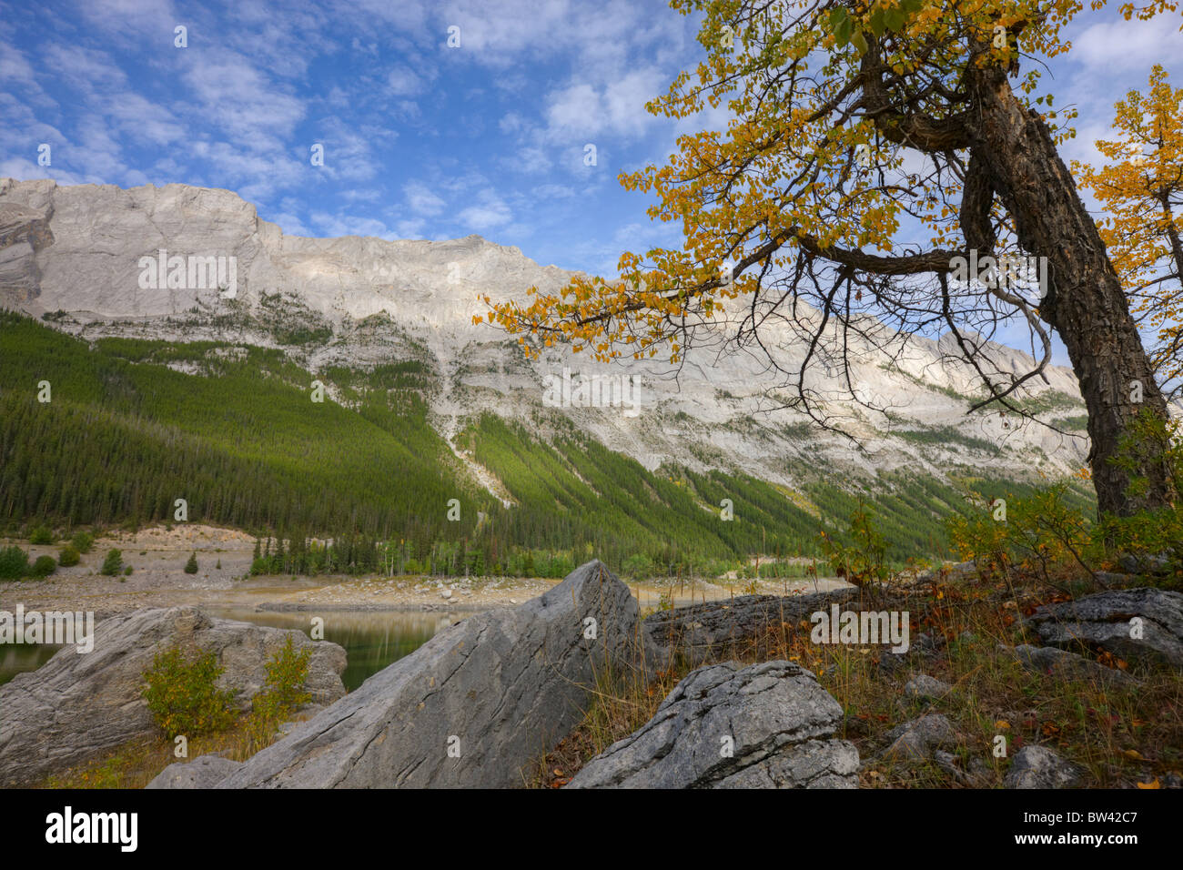 Queen elizabeth range hi-res stock photography and images - Alamy