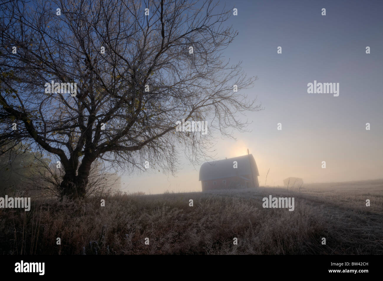 Rural alberta hi-res stock photography and images - Alamy