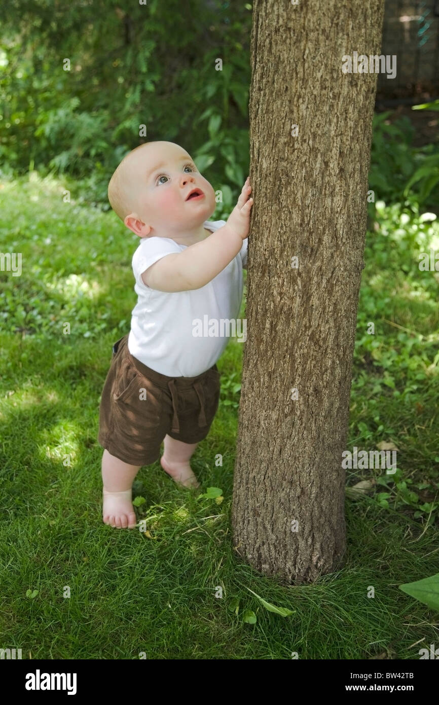 Baby boy standing and looking up at a tree, Ontario Stock Photo - Alamy