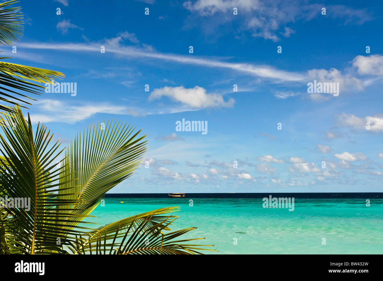 Beautiful tropical view Stock Photo - Alamy