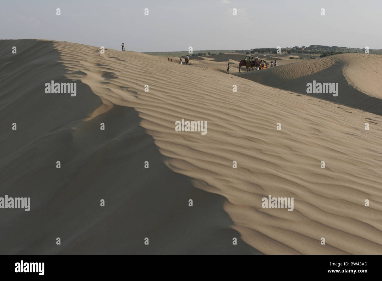 Desertification india hi-res stock photography and images - Alamy