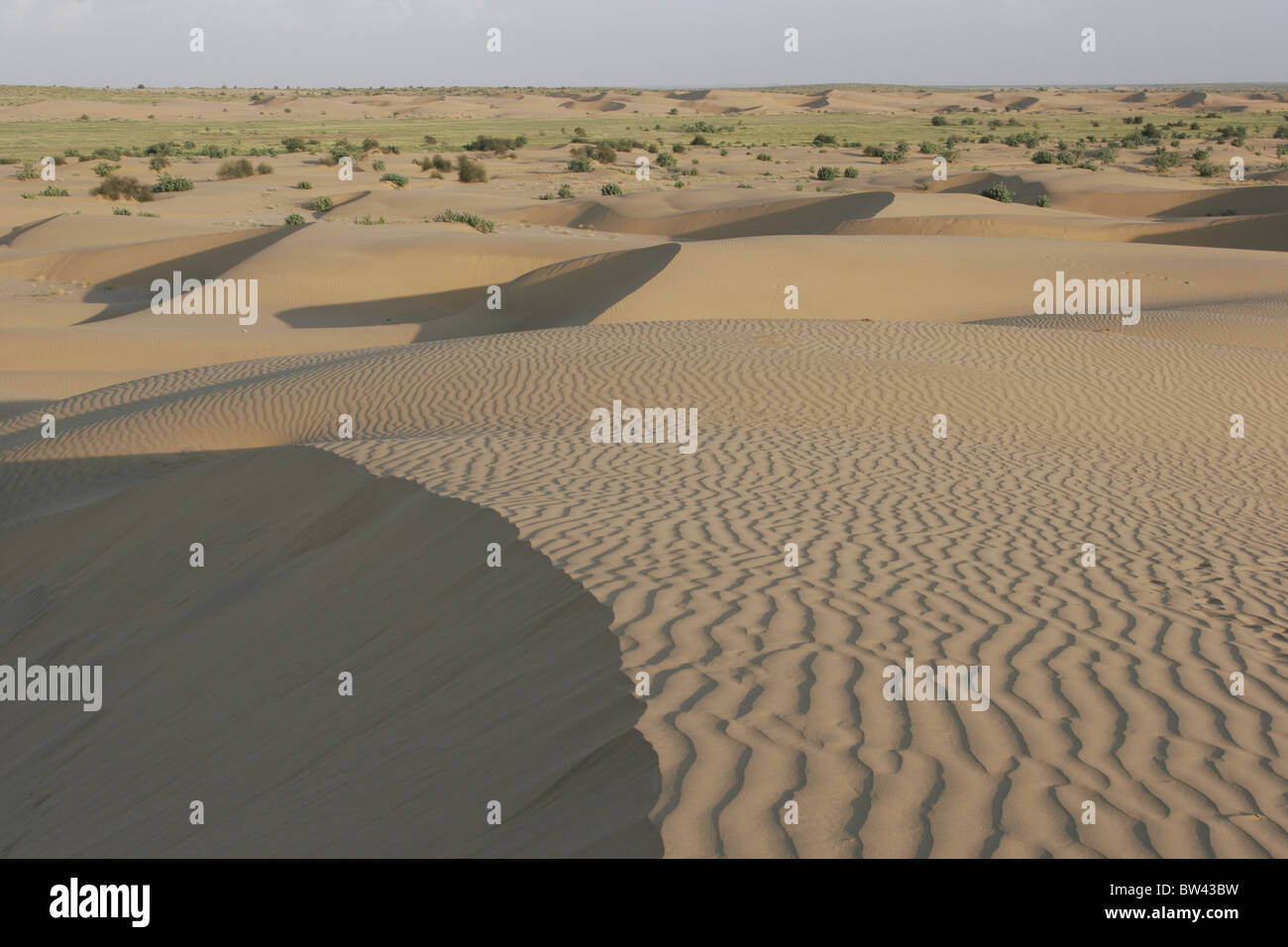 Sam sand dunes, Jaisalmer, Rajasthan, India Stock Photo - Alamy