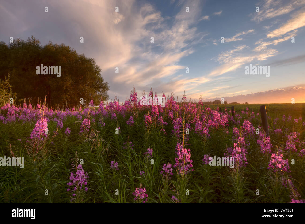 Farm on prairie in hi-res stock photography and images - Alamy
