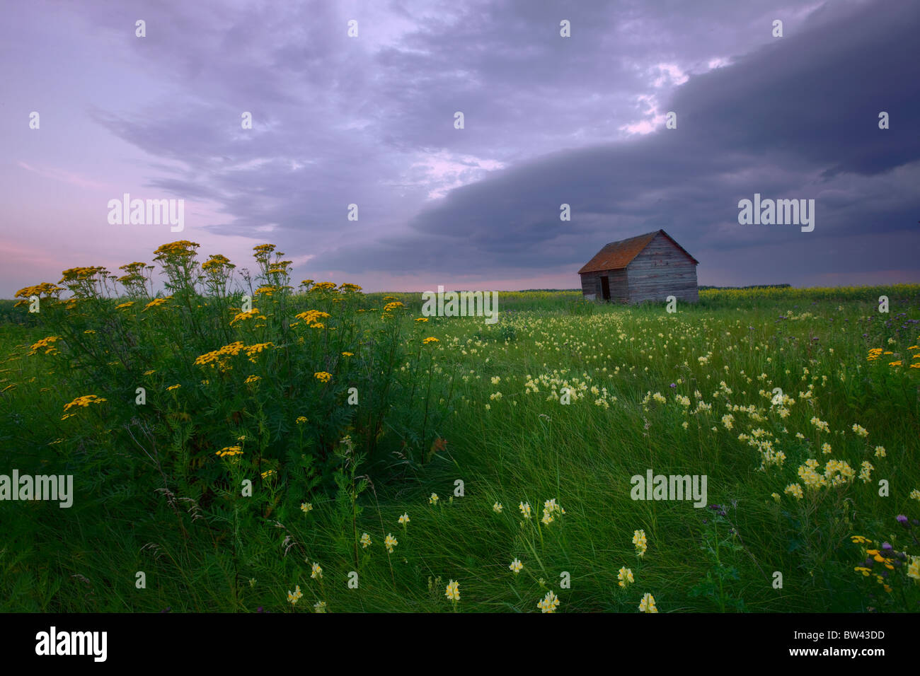 Old prairie building hi-res stock photography and images - Alamy