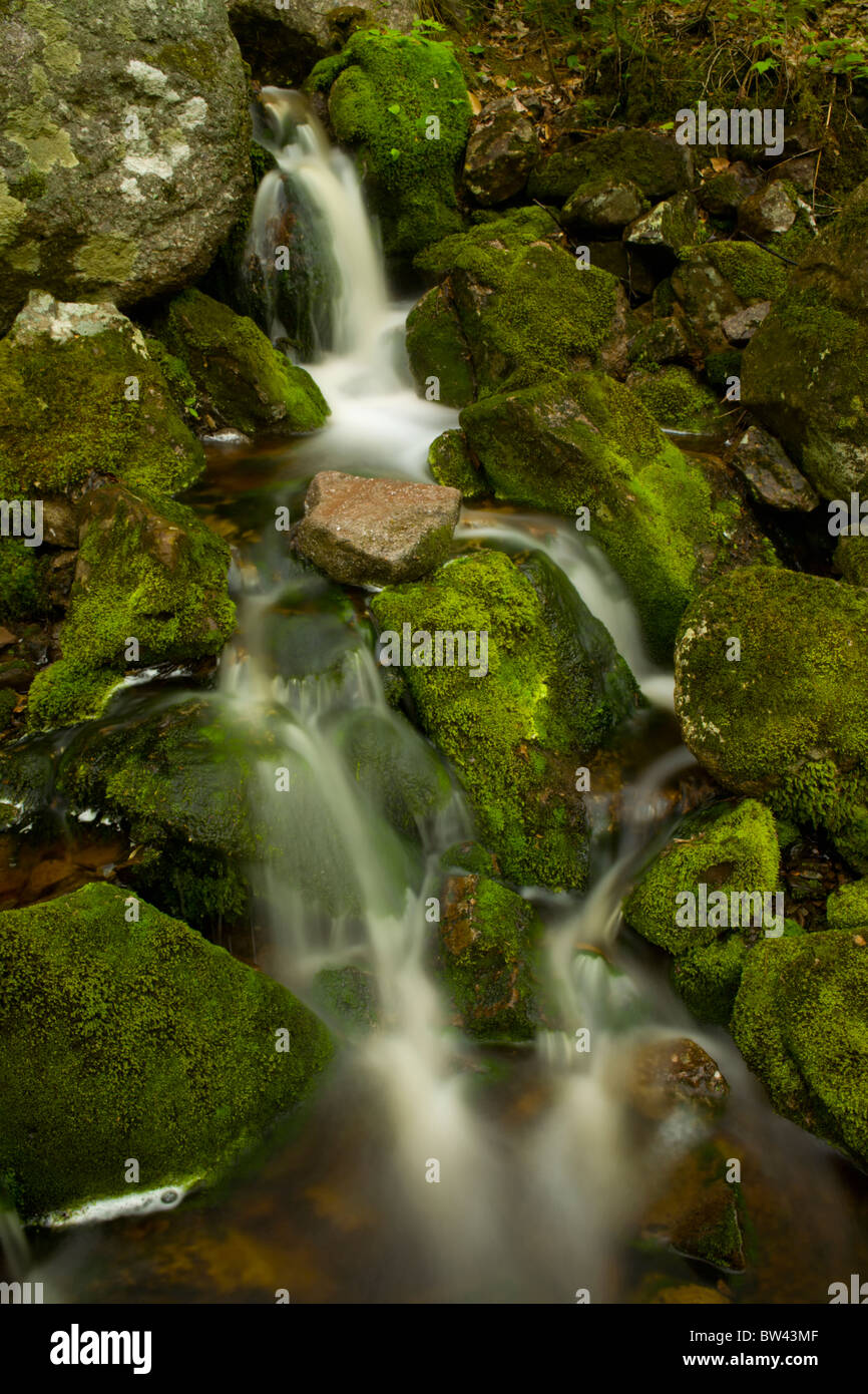 Mossy rocks and small cascade along Macphersons Brook, Cape Breton ...