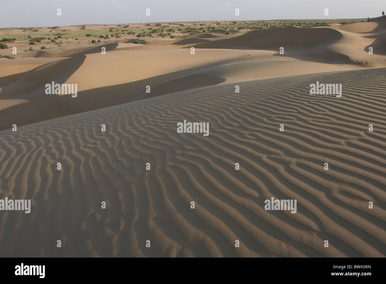 Sam sand dunes, Jaisalmer, Rajasthan, India Stock Photo - Alamy