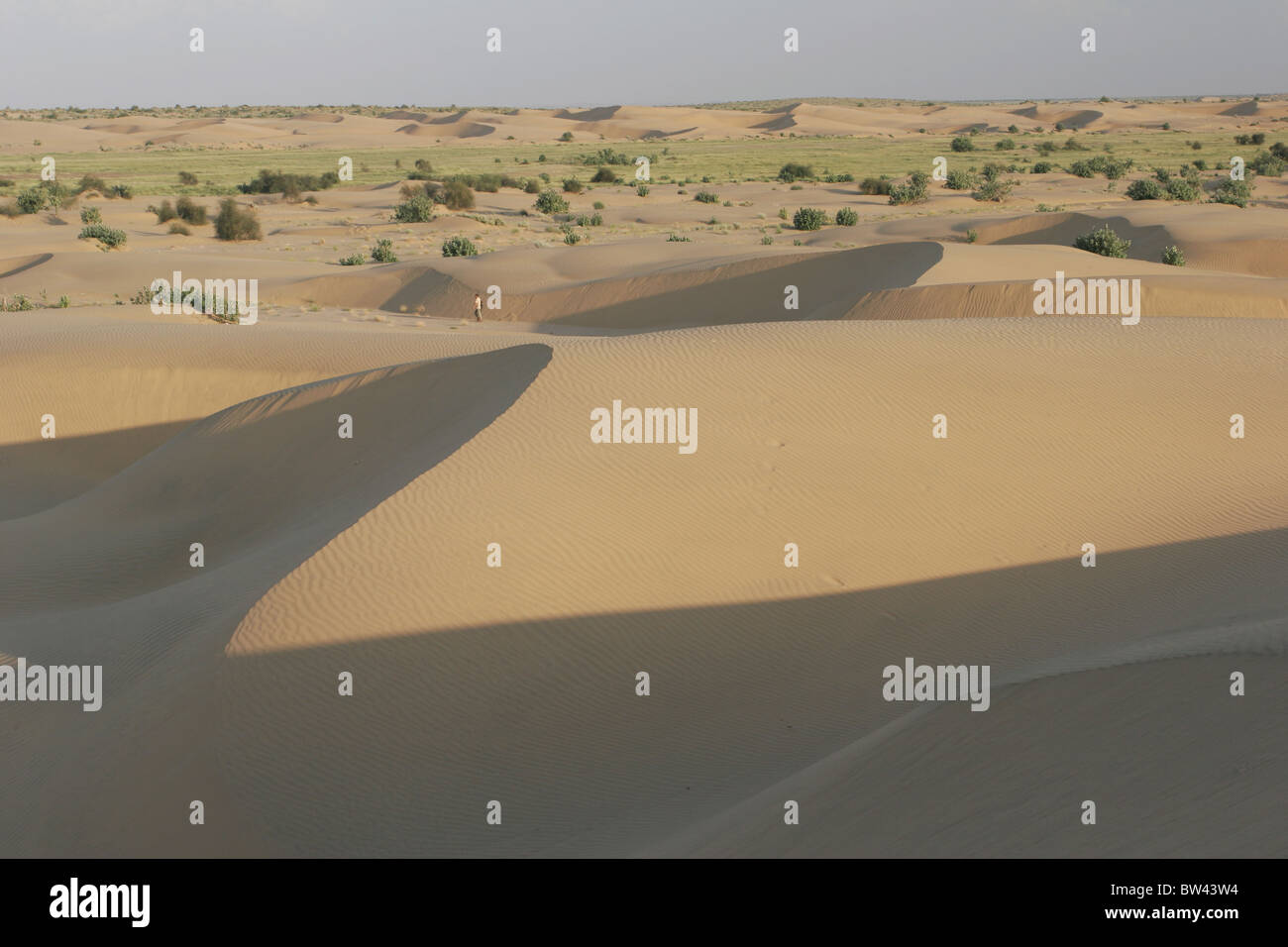 Desertification india hi-res stock photography and images - Alamy