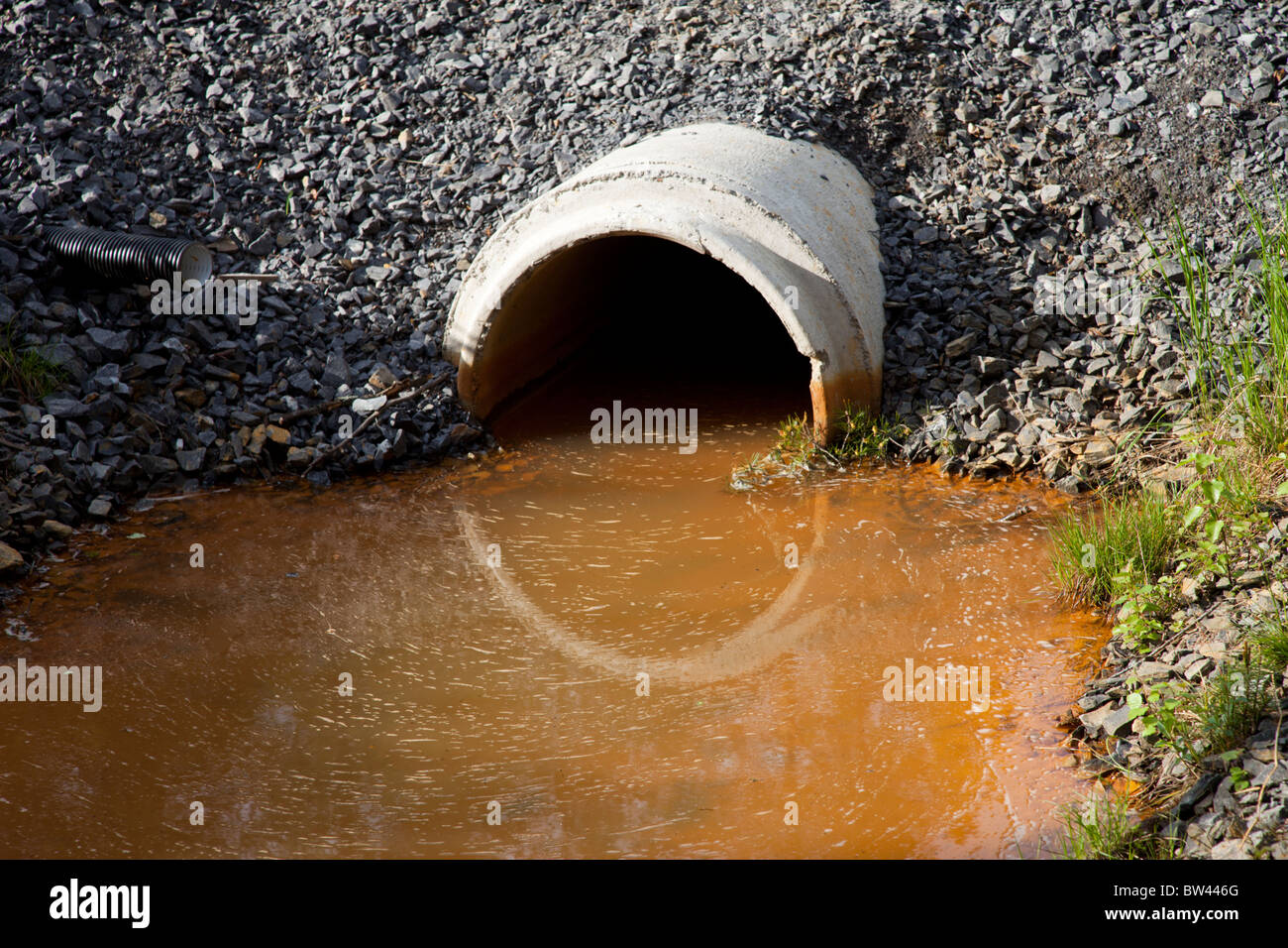 Ditch filled with dirty brown water , Finland Stock Photo - Alamy