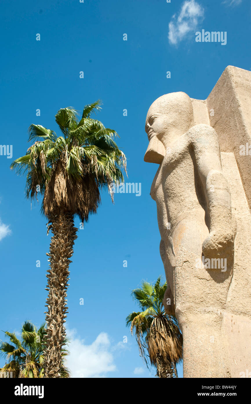 Aegypten, Memphis, Statue von Ramses II Stock Photo - Alamy