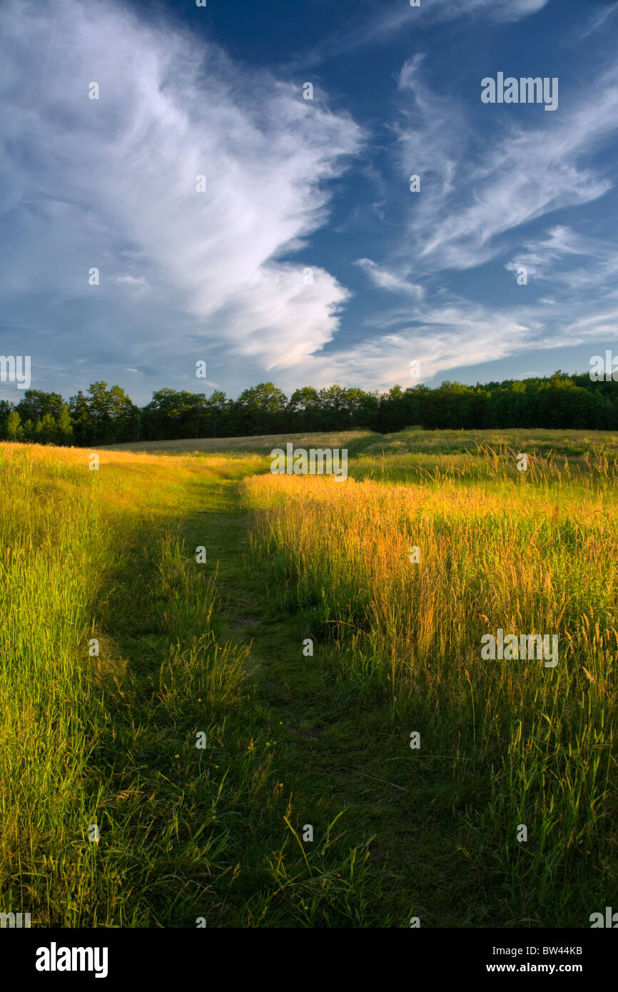 Field path hi-res stock photography and images - Alamy