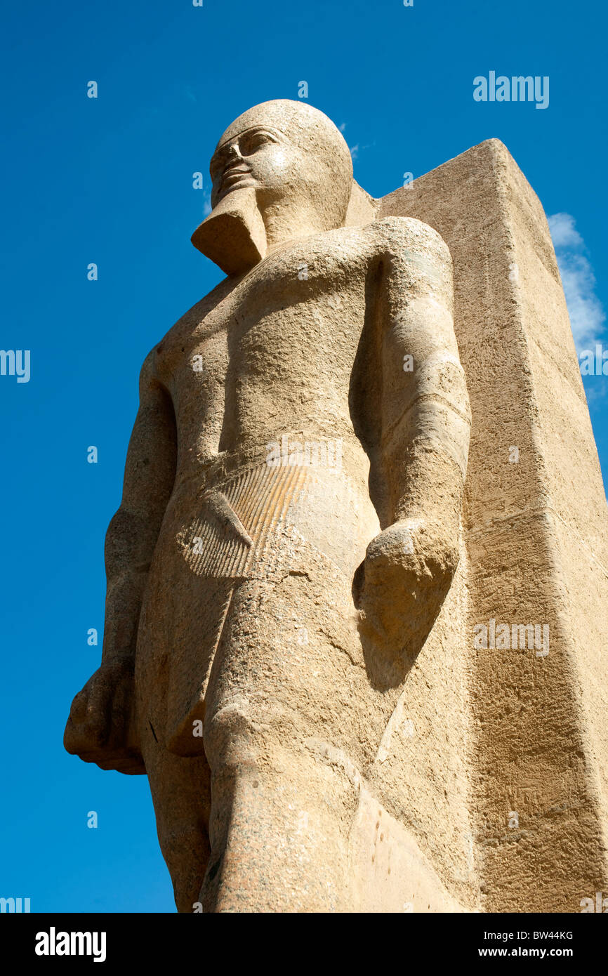 Aegypten, Memphis, Statue von Ramses II Stock Photo - Alamy