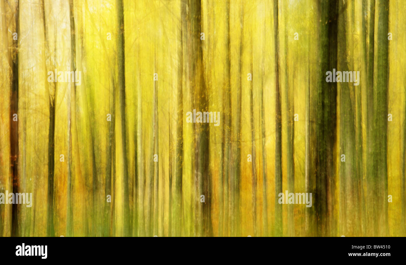 Vertical panning shot hi-res stock photography and images - Alamy