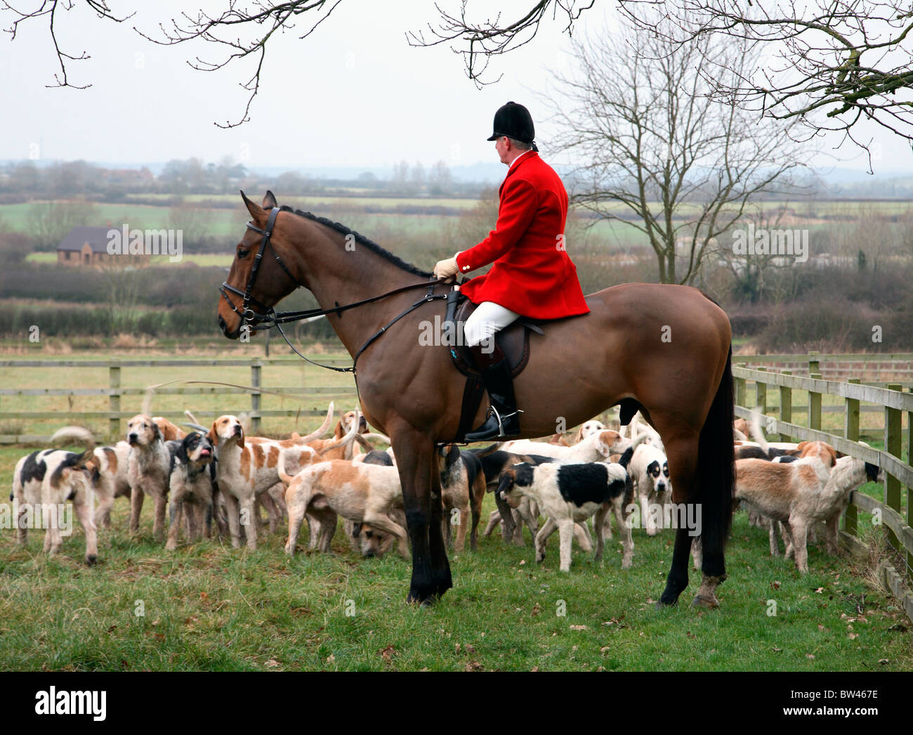 Hunt scene hi-res stock photography and images - Alamy