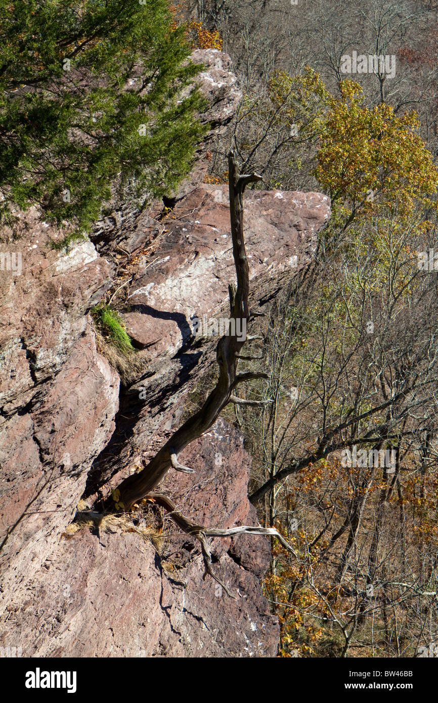 Steep cliff face cliff face hi-res stock photography and images - Alamy