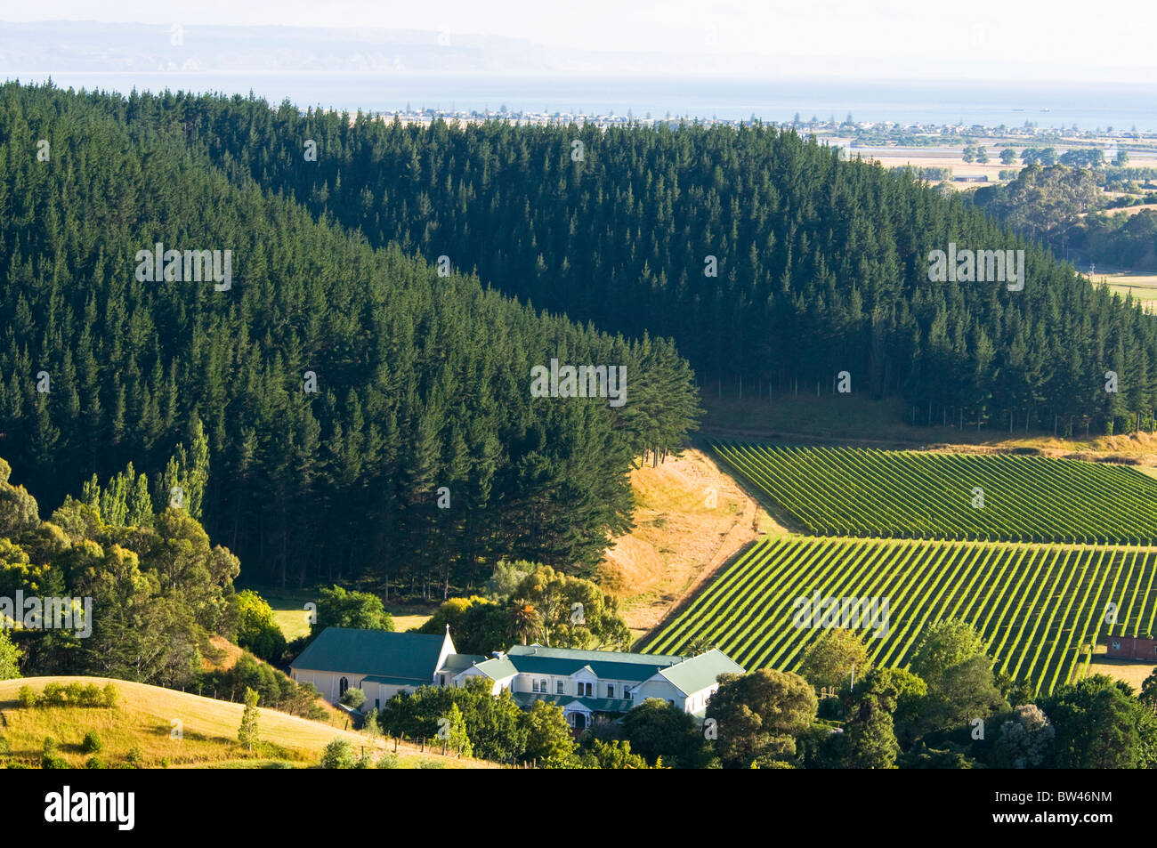 Houses,Mission Estate Winery, Napier, Bay ,Views from Sugar Loaf Hill ...