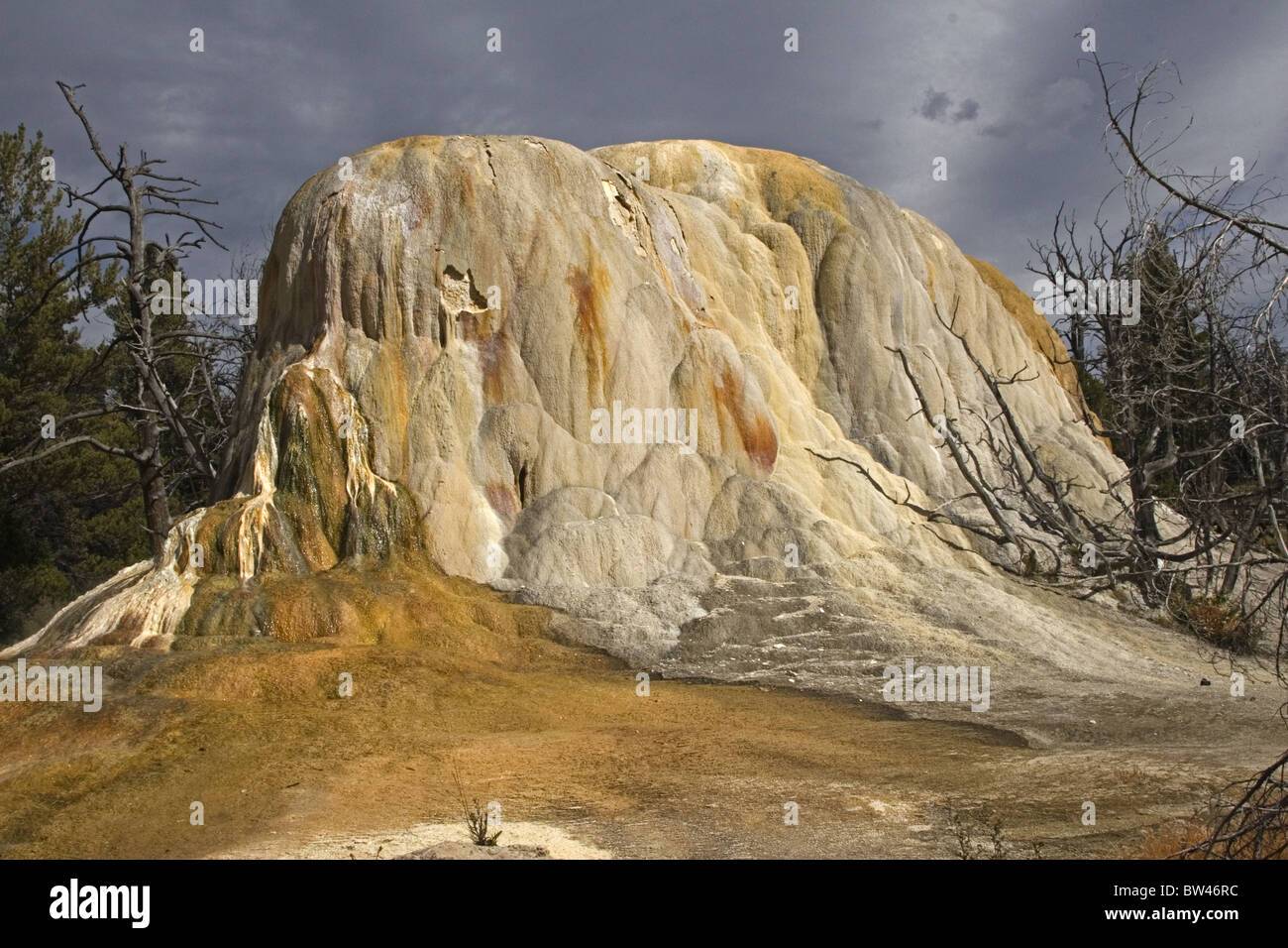Orange Spring Mound Mammoth Hot Springs Yellowstone Stock Photo - Alamy