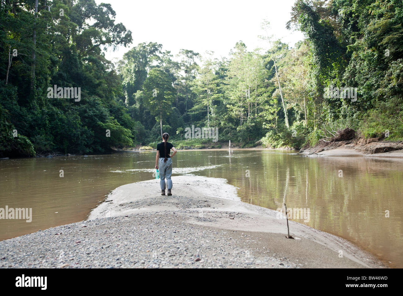 A view of the Segama river near the Danum Valley field center in the ...