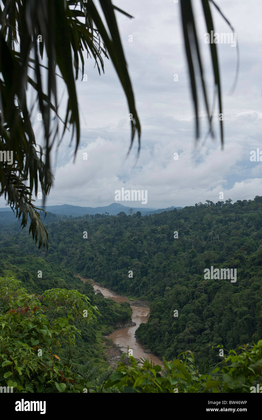 Danum Valley Conservation Area in Sabah, Borneo, Malaysia Stock Photo ...
