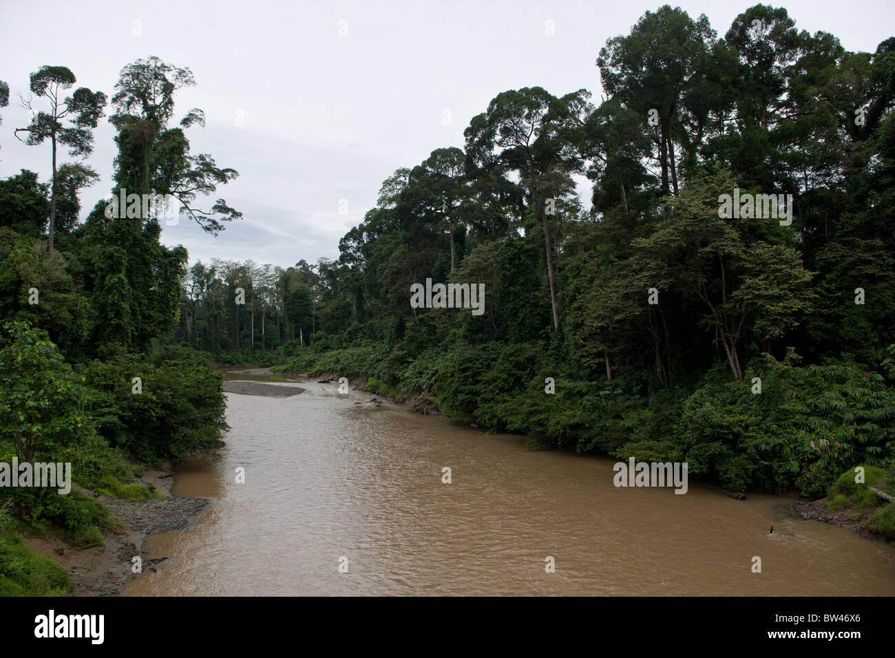 Danum Valley Conservation Area in Sabah, Borneo, Malaysia Stock Photo ...