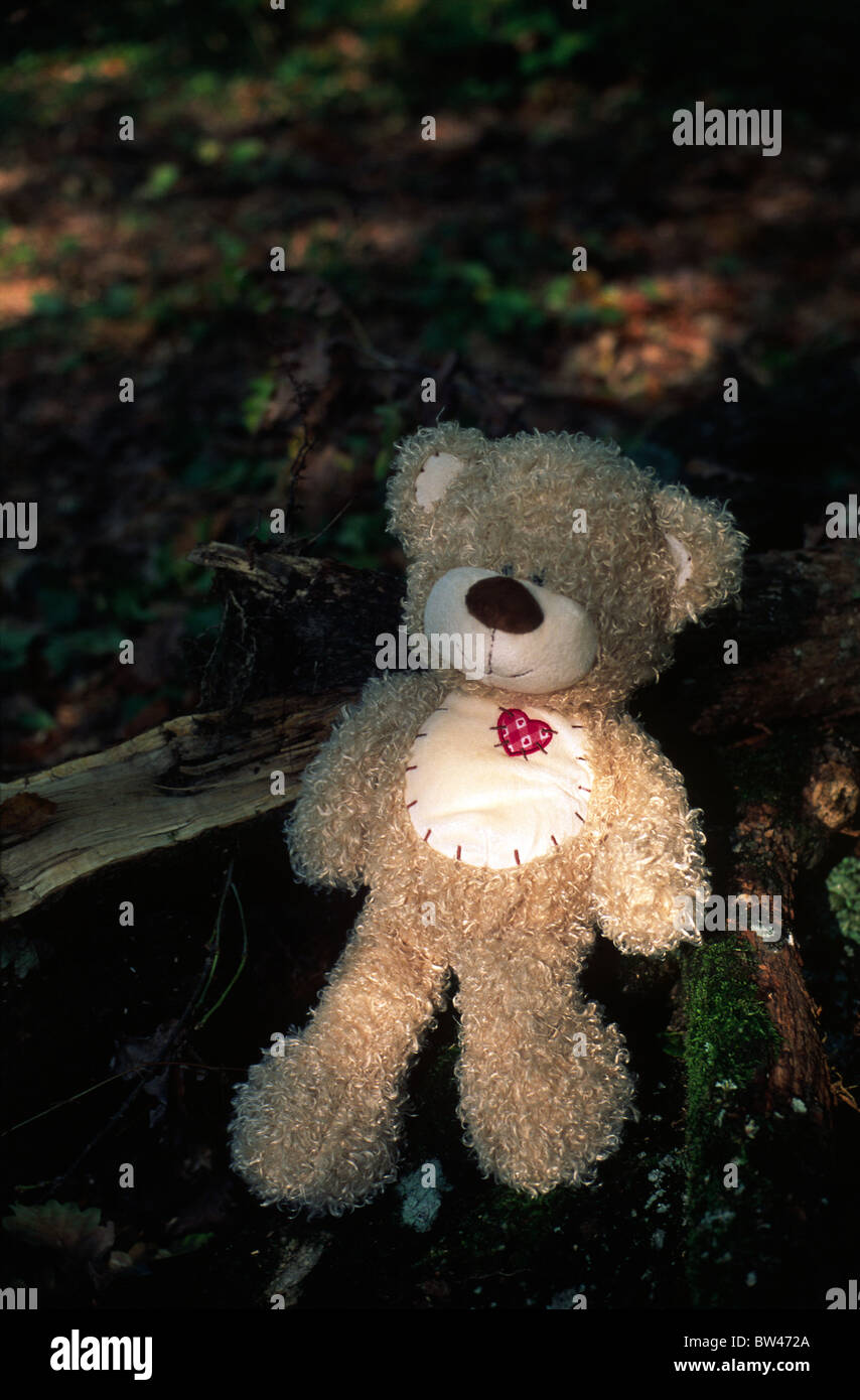 Lost teddy bear Stock Photo - Alamy