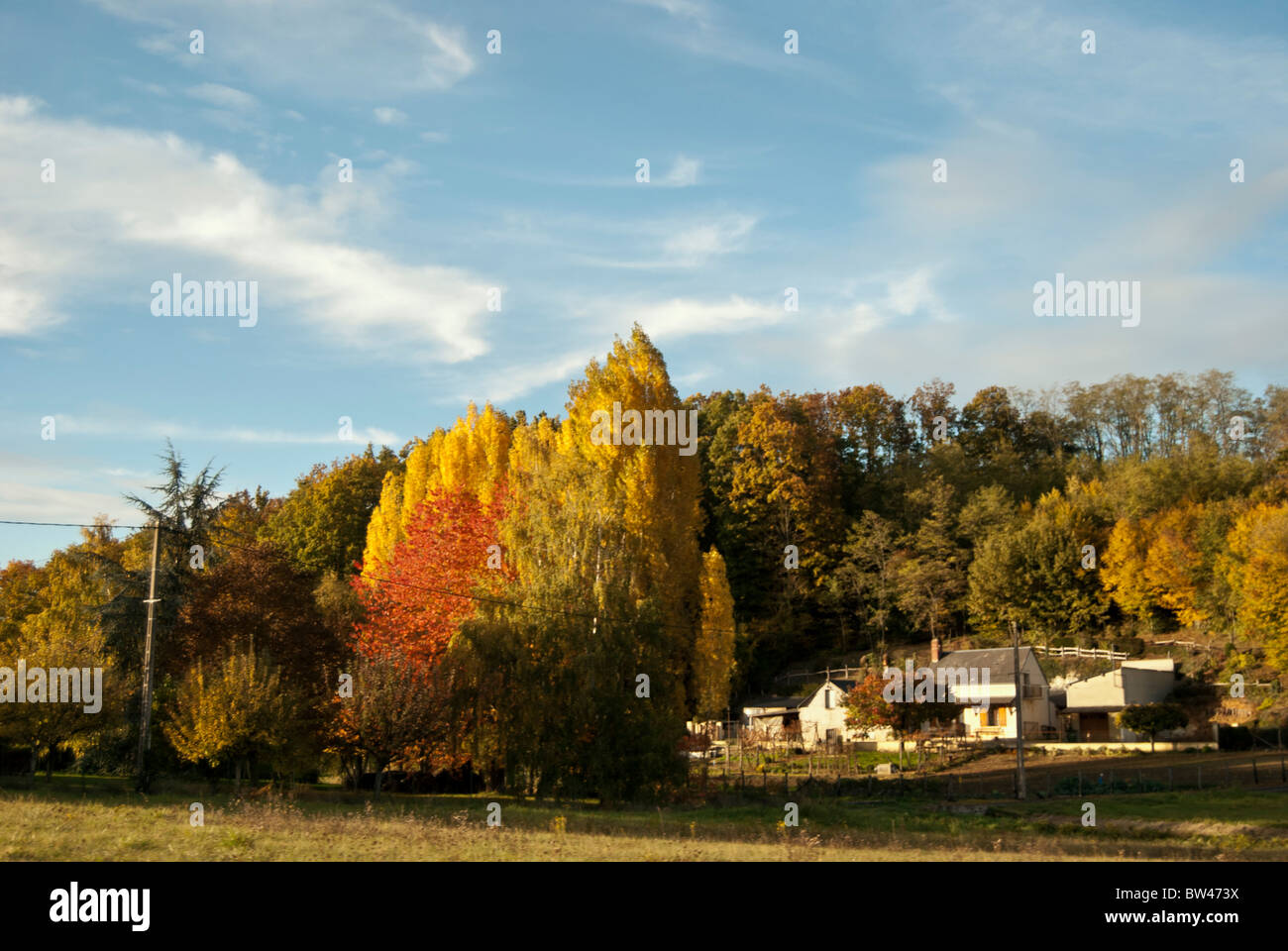 trees, bessè sur braye, sarthe, france Stock Photo - Alamy