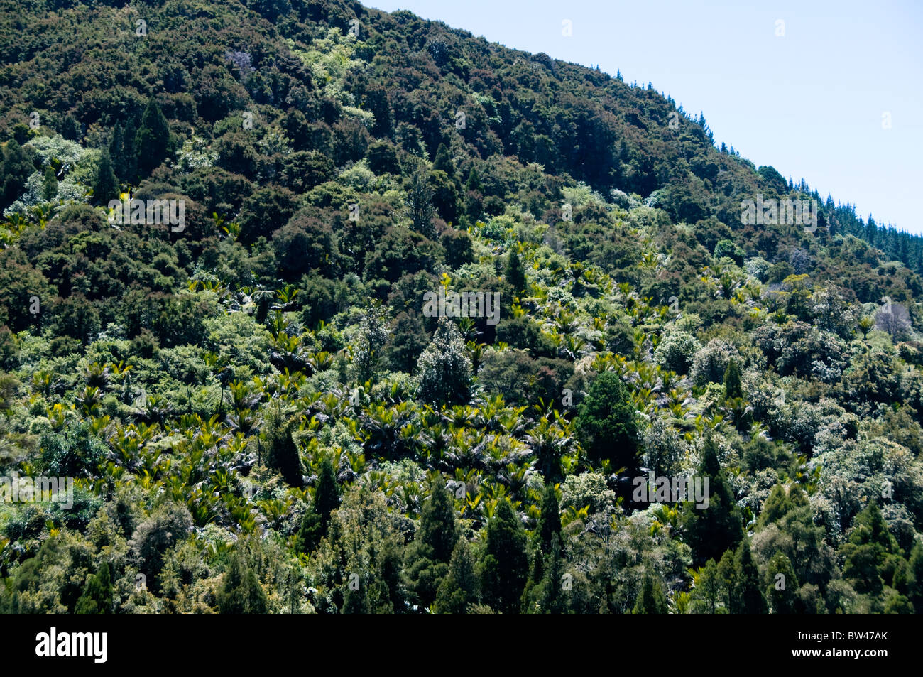 Mangapukahu Scenic Reserve,Waipatiki Beach ,North of Napier,North ...
