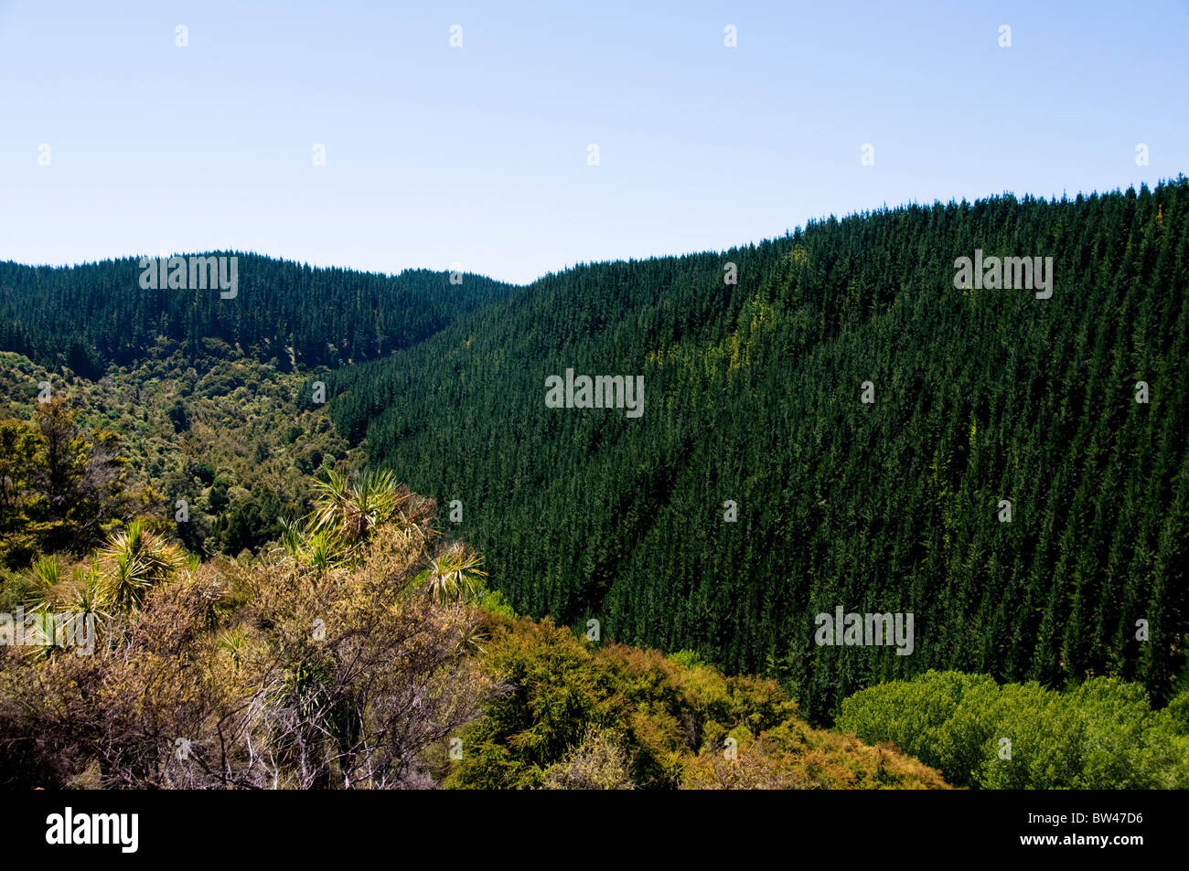 Mangapukahu Scenic Reserve,Waipatiki Beach ,North of Napier,North ...
