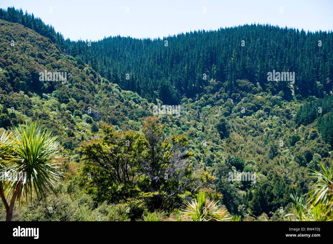 Mangapukahu Scenic Reserve,Waipatiki Beach ,North of Napier,North ...