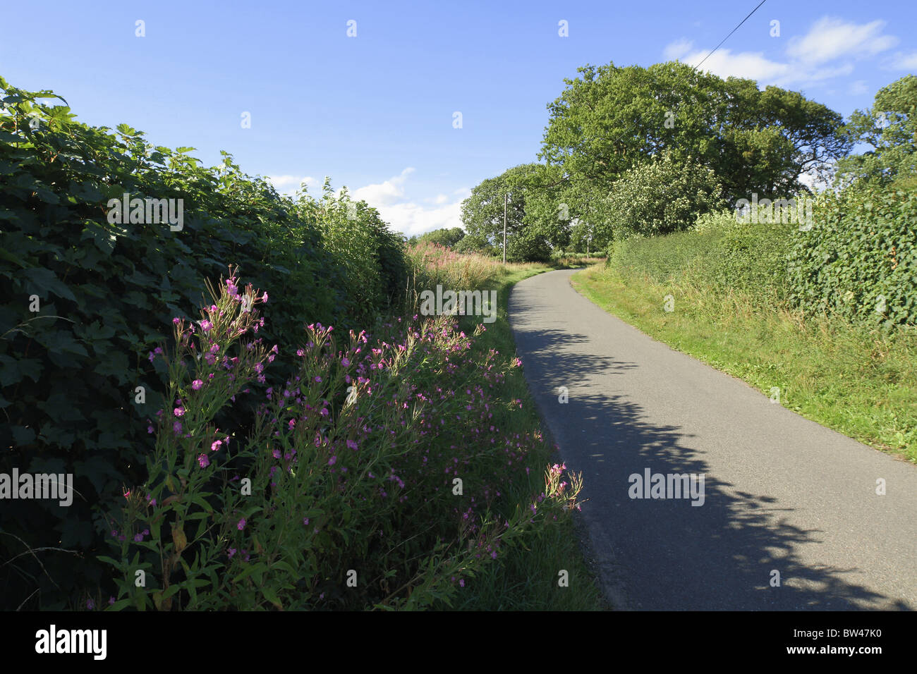 the grounds and gardens of a country estate Stock Photo - Alamy