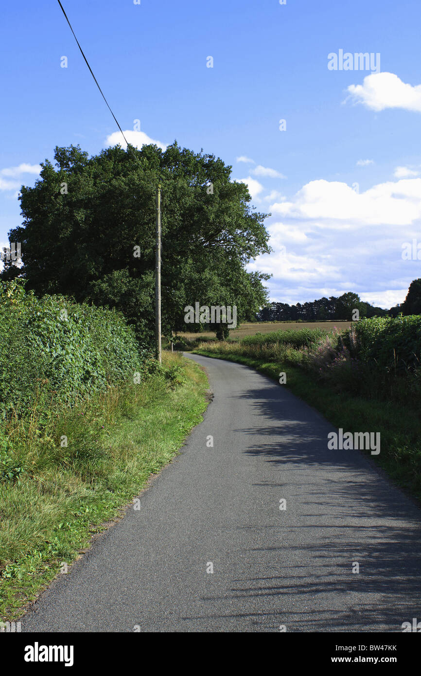 the grounds and gardens of a country estate Stock Photo - Alamy