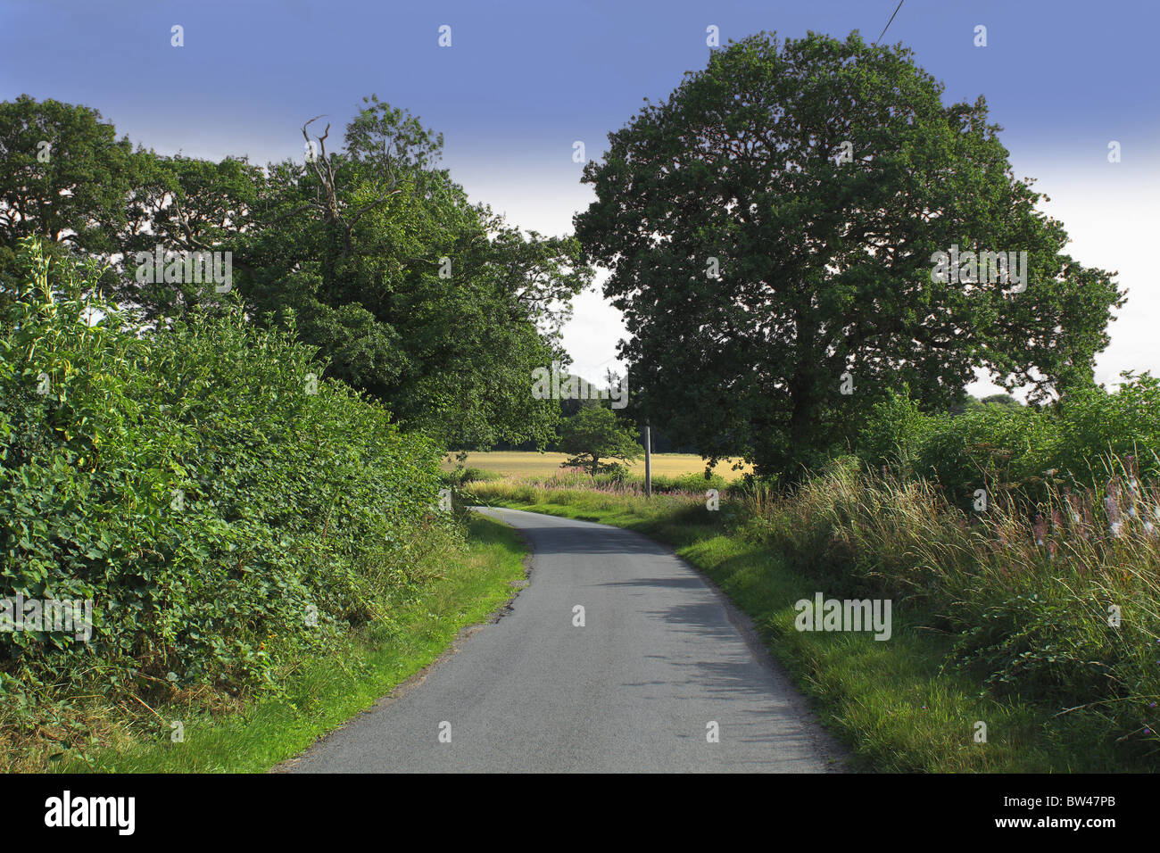 the grounds and gardens of a country estate Stock Photo - Alamy