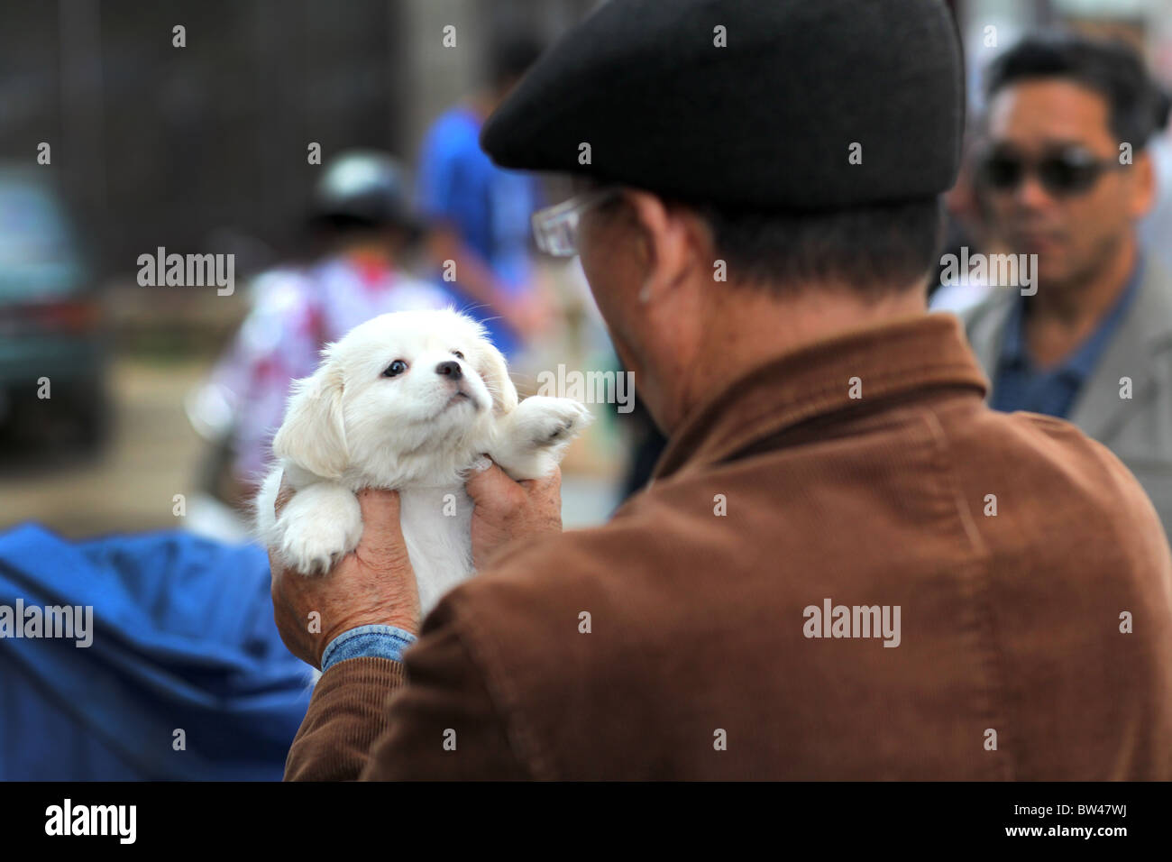 Man with dog in market hi-res stock photography and images - Alamy