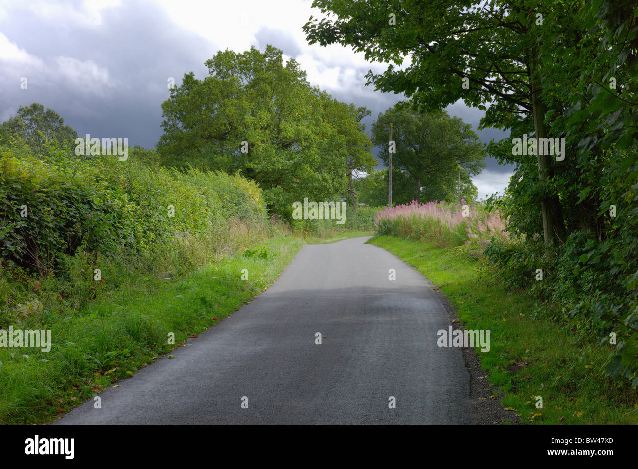 the grounds and gardens of a country estate Stock Photo - Alamy
