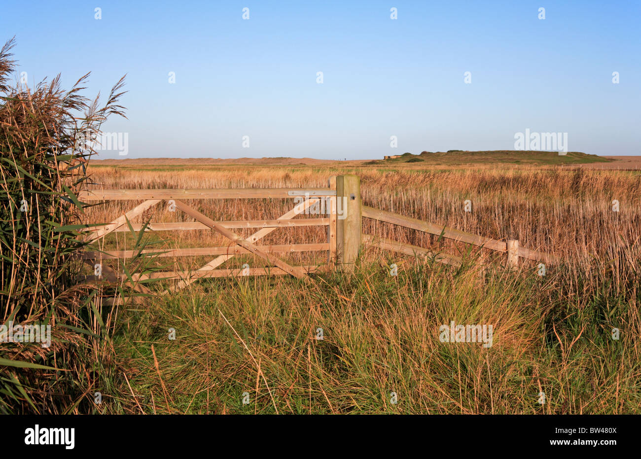 A traditional five bar field gate on grazing marshes on the North ...