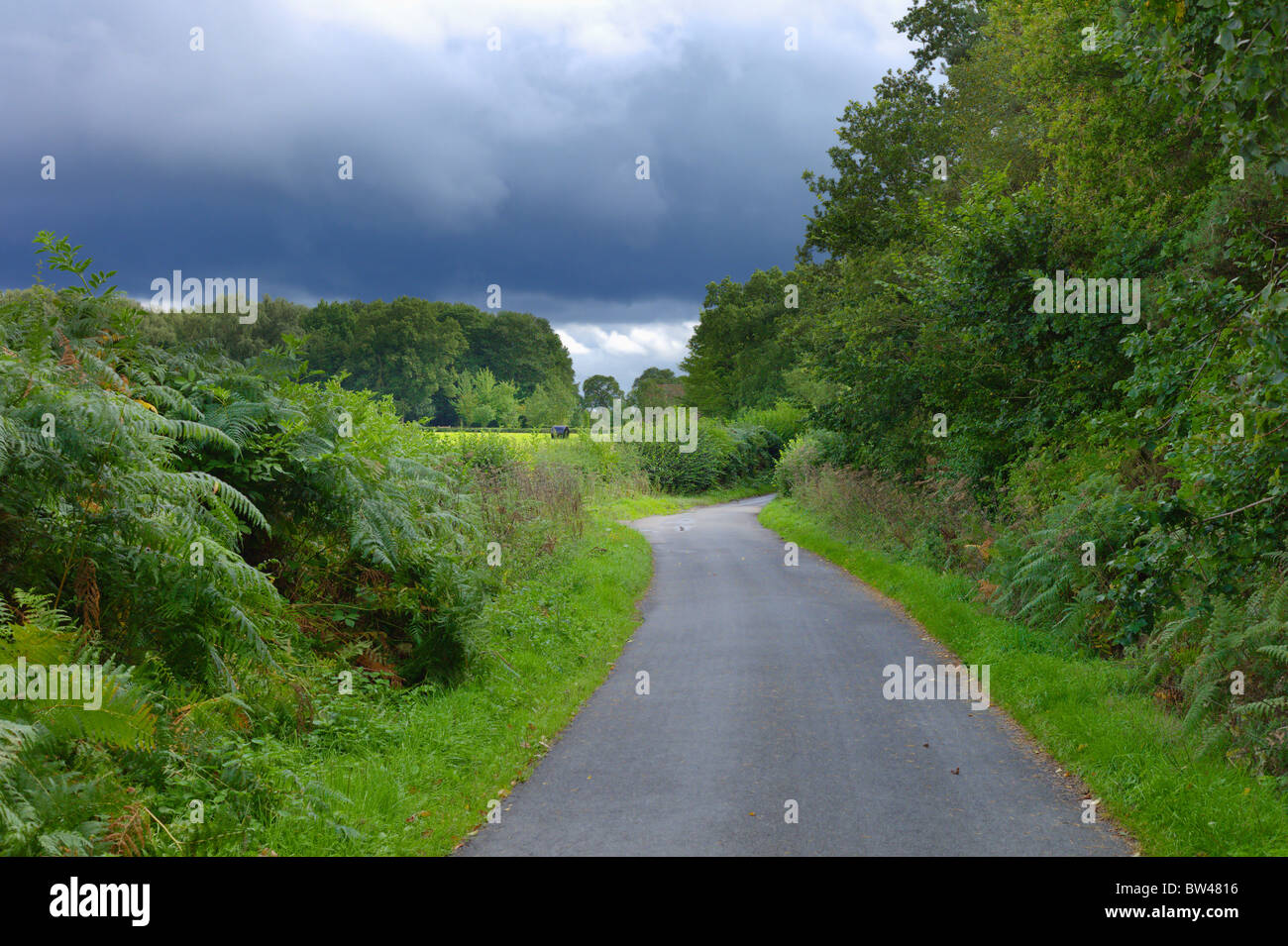 the grounds and gardens of a country estate Stock Photo - Alamy
