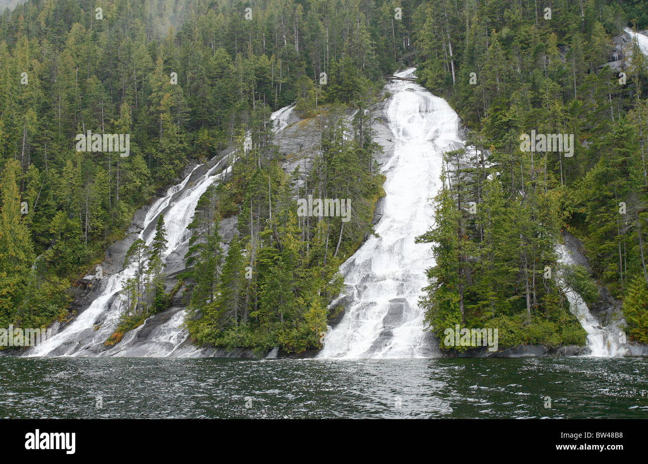 British columbia temperate rain forest hi-res stock photography and ...