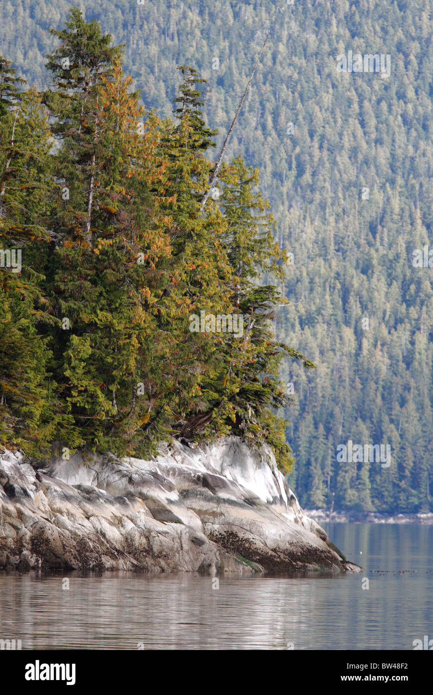 British columbia temperate rain forest hi-res stock photography and ...