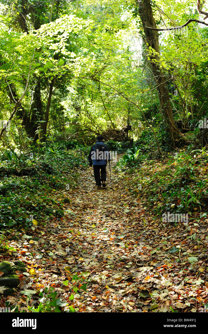 Footpath isle of wight hi-res stock photography and images - Alamy