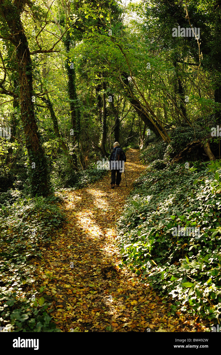 Footpath isle of wight hi-res stock photography and images - Alamy