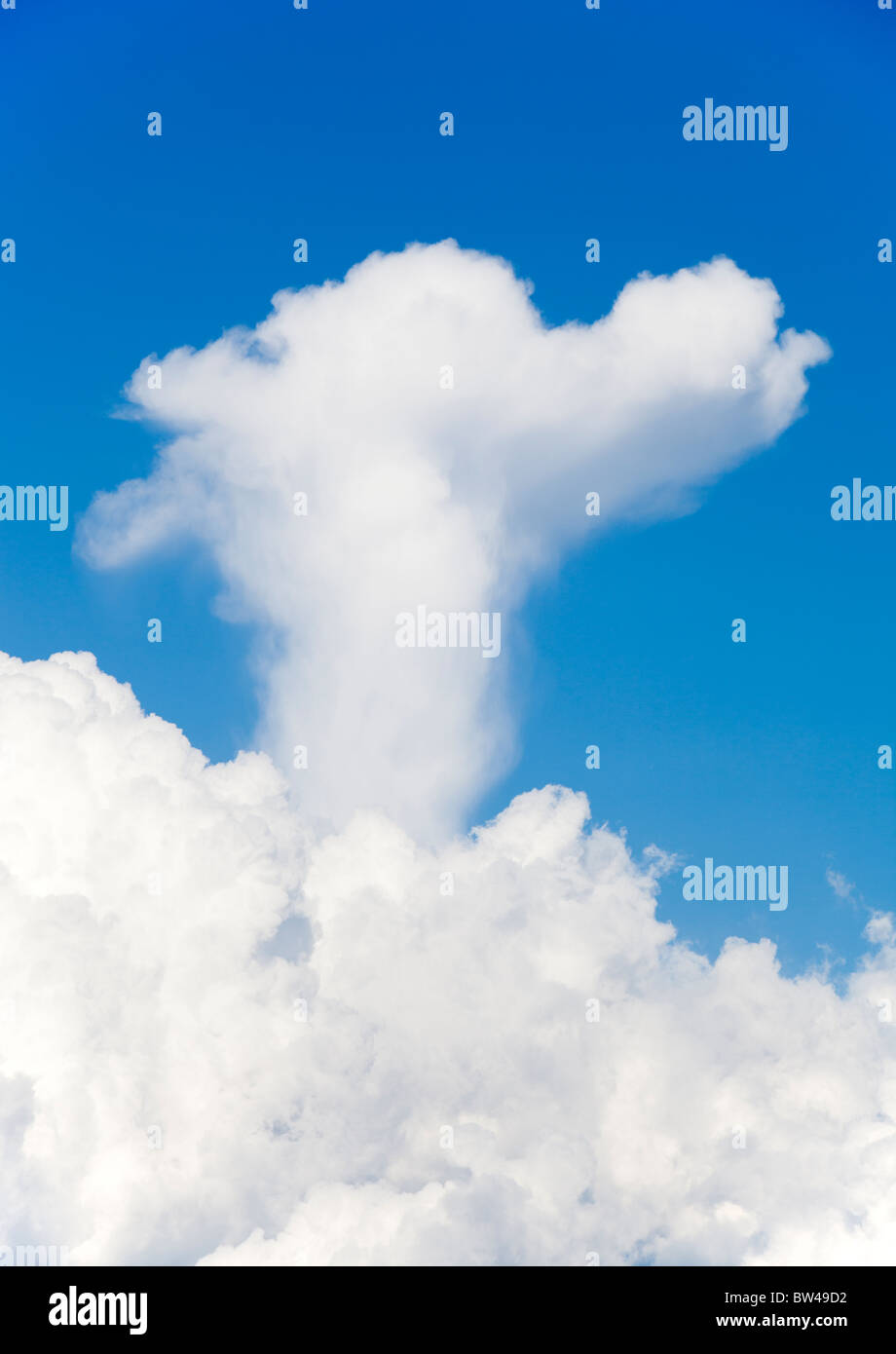 Updraft from cumulus cloud forms a dog head shape to sky , Finland ...
