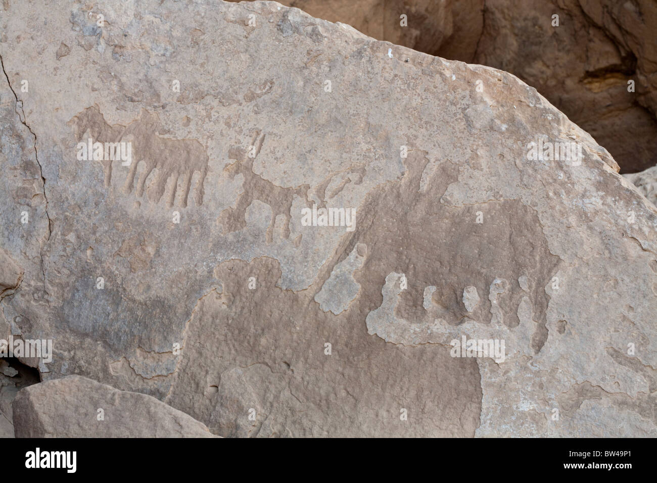 Carved ancient rock art showing depictions of Elephants in Wadi el ...