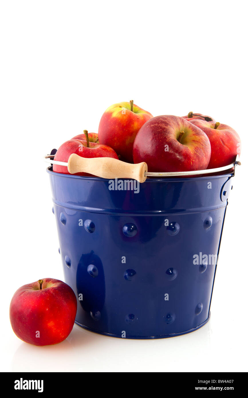 Blue bucket filled with red apples isolated over white Stock Photo - Alamy