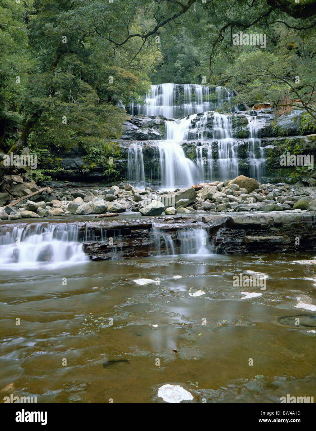 Liffey falls Tasmania Australia Stock Photo - Alamy