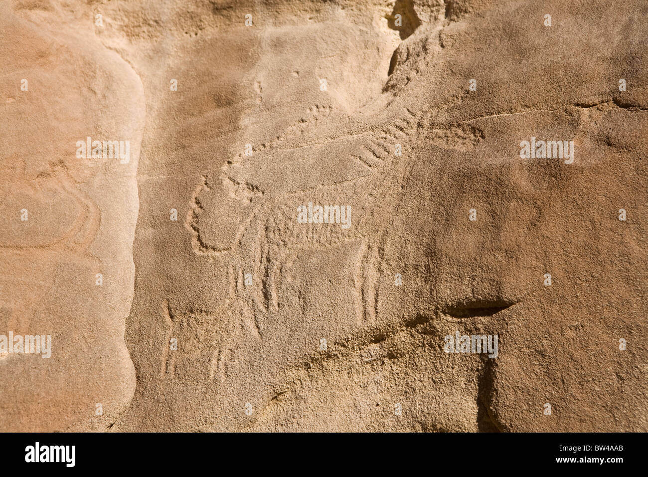 Animal erosion hi-res stock photography and images - Alamy