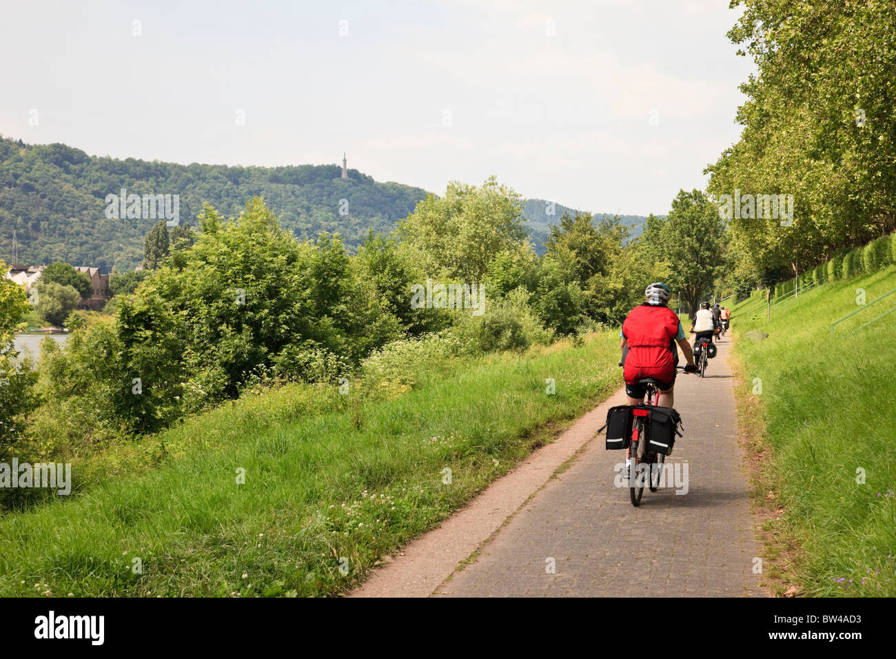 Cyclist cycling on the Moselle River riverside path. Trier, Rhineland ...