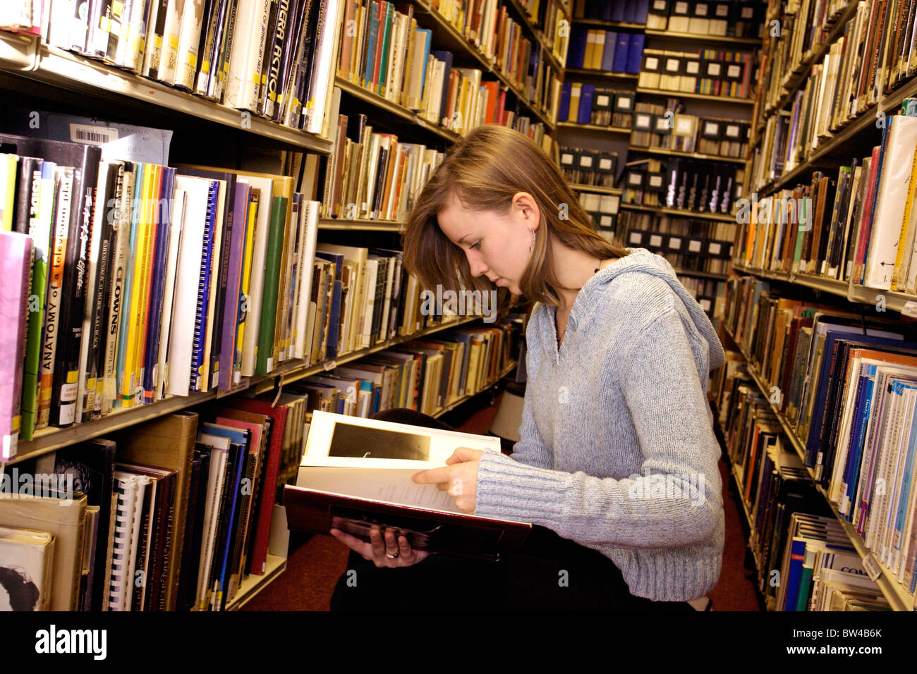 Young woman searching through books on library shelves. Librarian Stock ...